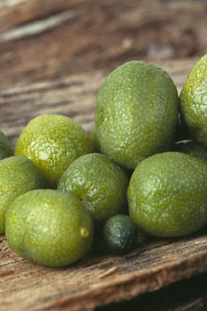 Desert Lime Gin - Black Cockatoo Distillery